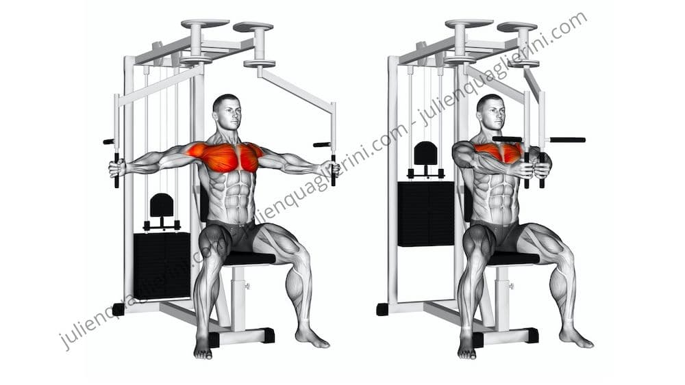 Comment réaliser correctement l'exercice du butterfly muscu