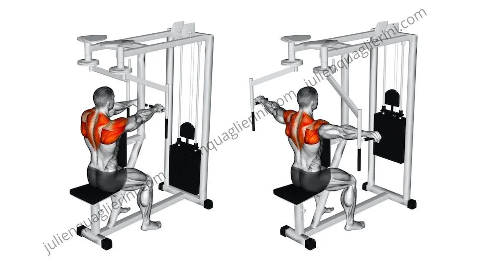 Butterfly inversé : Un exercice pour l'arrière d'épaule